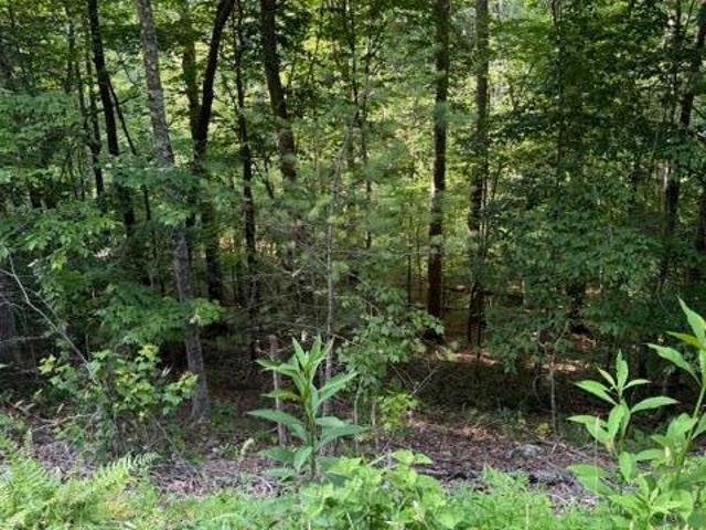 Lot 37 Quiet Waters Road