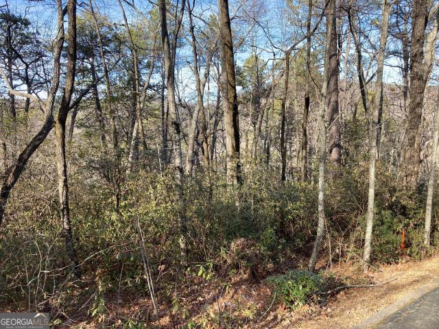 Lot 37 Whispering Dl, Clarkesville, GA 30523 | MLS #10594 | Compass