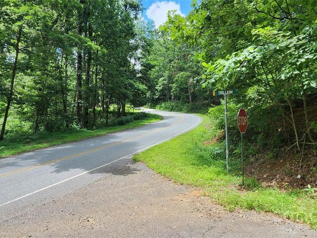 Lot 37 White Oak Mountain Rd, Columbus, NC 28722 | MLS #4282 | Compass