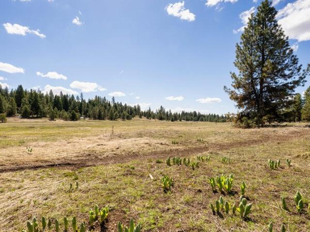 Lot 37 To Be Determined, Unit 37, McCall, ID 83638 | MLS #541719