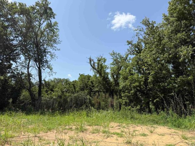 Lot 37 Up River