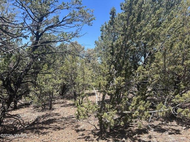 Lot 37K, Vernon, AZ 85940