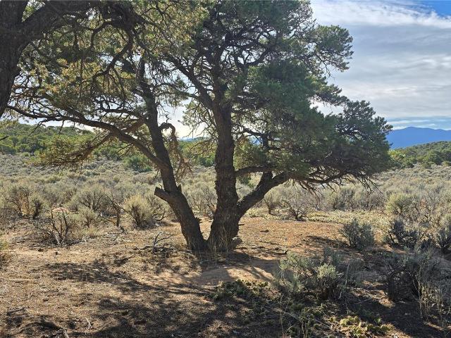 Lot 3873 Shinn Road