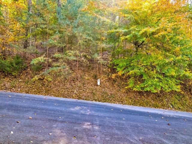 Lot 38 Five Oaks Circle