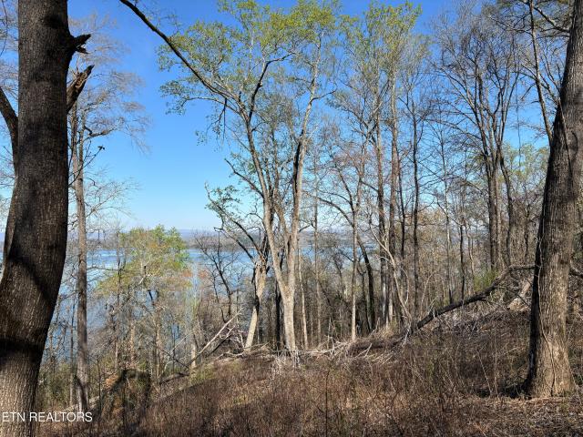 Lot 38 Johnson Lane