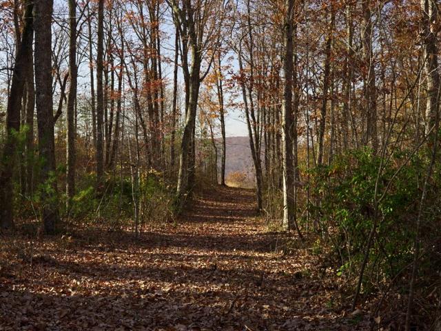 Lot 38 Overlook Dr