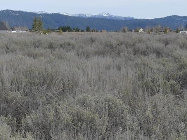 Lot 38 Nisula Rd, Unit 38, McCall, ID 83638 | MLS #544185
