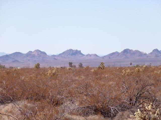 Lot 38 Saguaro Dr, Yucca, AZ 86438 | MLS #028574