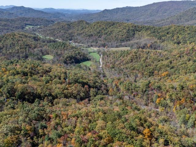 Lot 38 Skyview At Wildlife Acres # 38