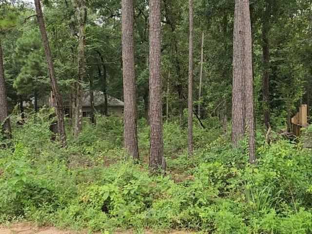 Lot 38 White Oak Drive