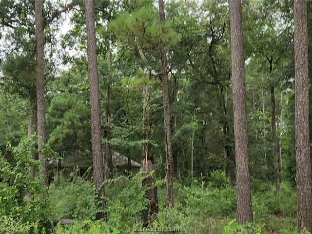 Lot 38 White Oak Drive