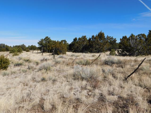 Lot 38a Agua Fria Loop