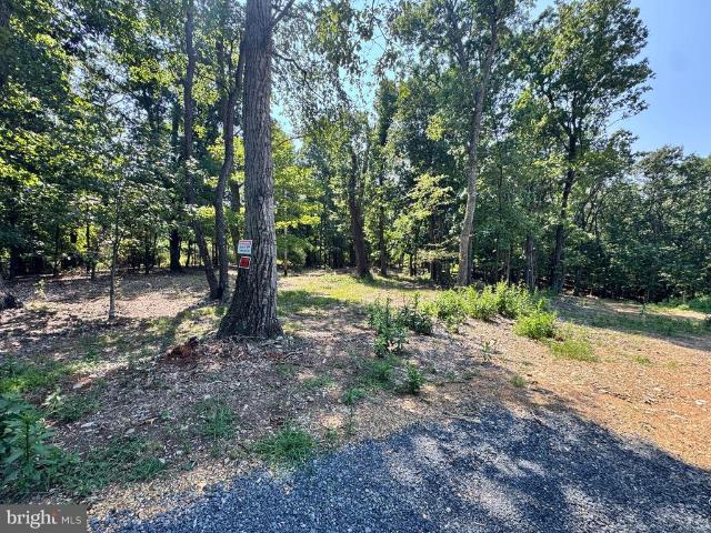 Lot 38C Sweetbriar Lane