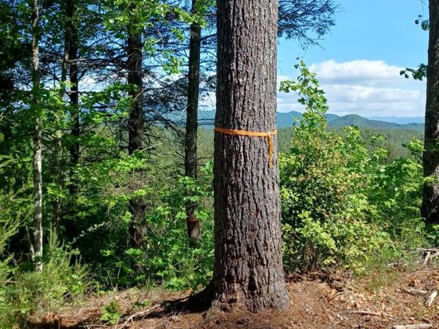 Lot 395 River Ridge Way