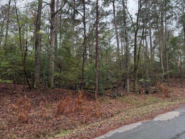 Lot 39, 40 & 41 S Lakeview Drive