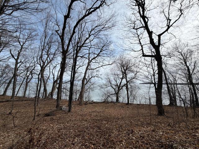 Lot 39&40 Earle Brown Drive