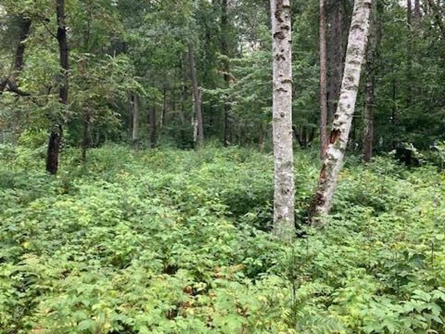 Lot 39 & 40 Owl Circle