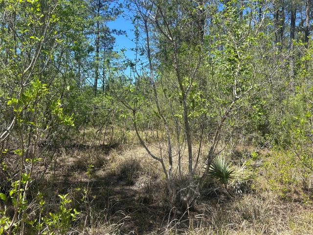 Lot 39 Carter Ranch Road