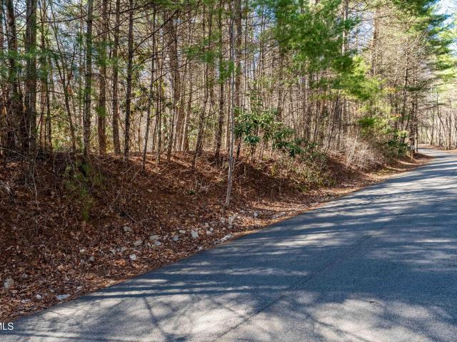 Lot 39 Bear Ridge Drive