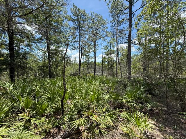 Lot 39 Blk 68 On Clearwater, DeFuniak Springs, FL 32433 | MLS #992612 | Compass
