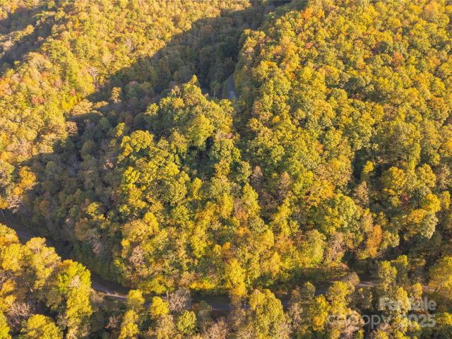 Lot 39 Brush Creek Mountain Road # 39