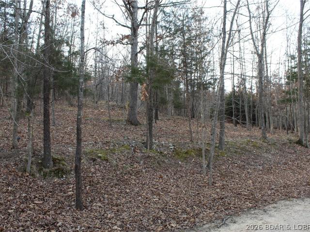 Lot 39 Grey Wolf Road