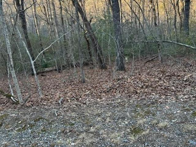 Lot 39 Konahetah Rd, Hiawassee, GA 30546 | MLS #422425