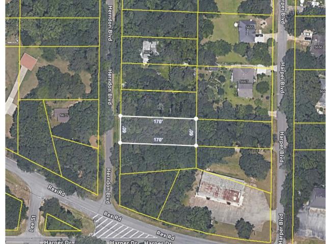 LOT 39 Herndon Boulevard