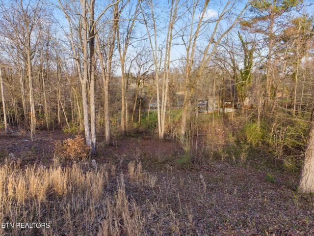 Lot 39 Idlewild Drive