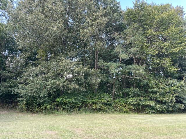 Lot 39 Saddle Creek Subdivision