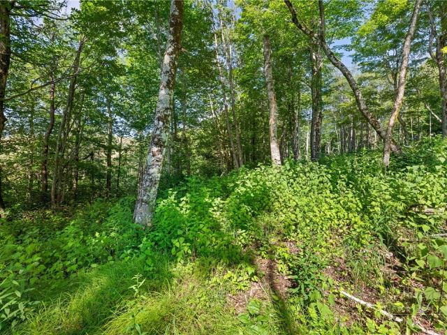 Lot 39 Skycamp Trail