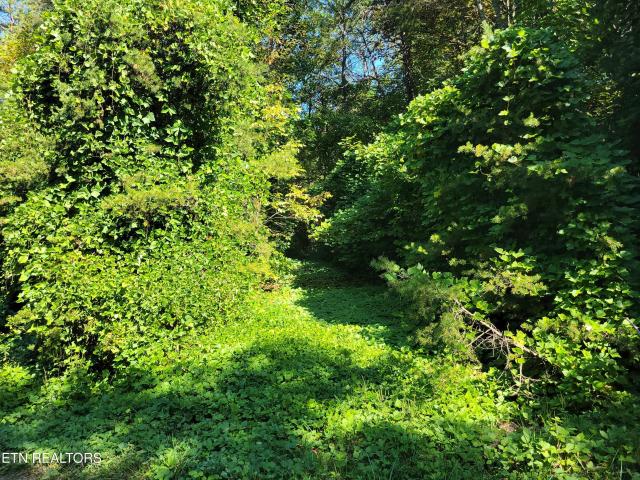 Lot 39 Sugar Maple Way