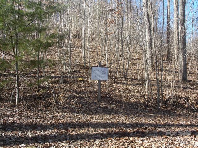 Lot 39 Sweet Spring Trail, Unit 39, Glenville, NC 28736 | MLS #4259 | Compass