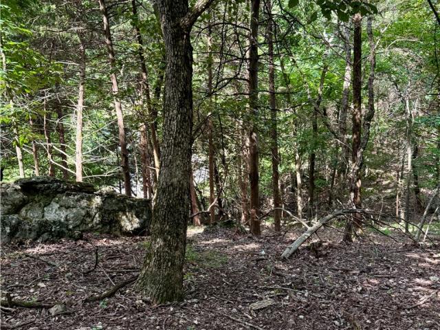 Lot 39 Pine Drive