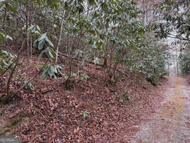 LOT 7 & 8 Ideal Acres