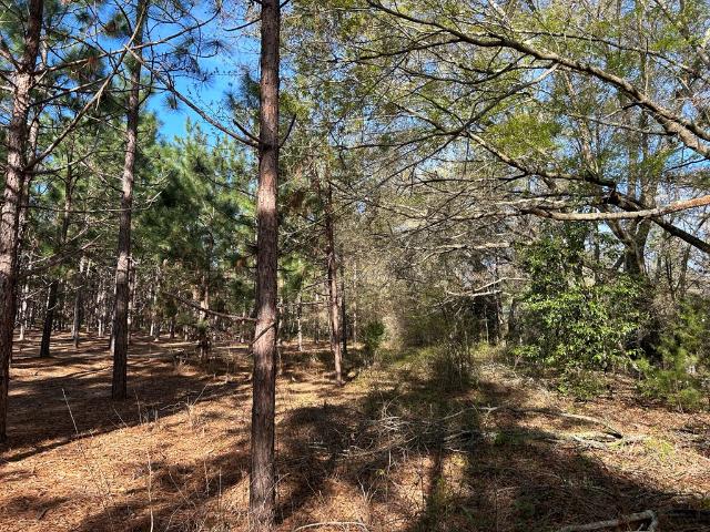 Lot 7, 3+ ac Cty Rd 18