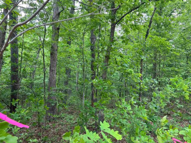 Lot 7 Tall Oaks Trail