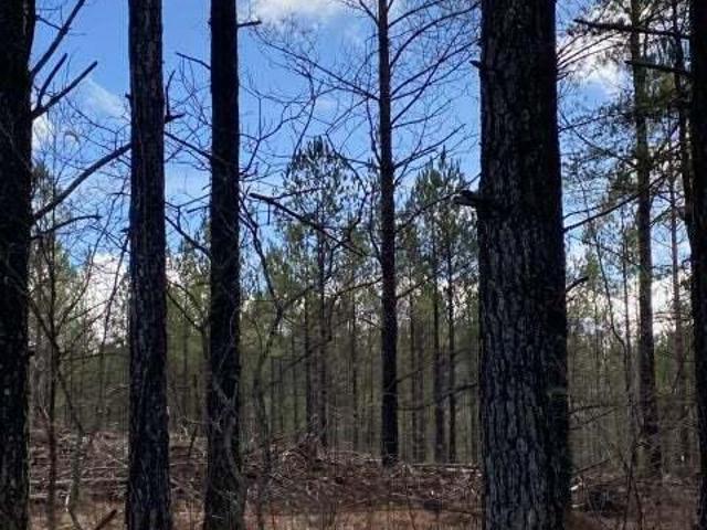 Lot 7 Thomas Springs Road