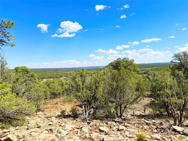 Lot 7 Tierra de Dios