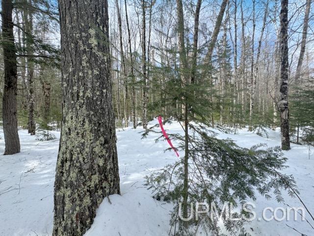 Lot 7 W Tamarack Lake Road