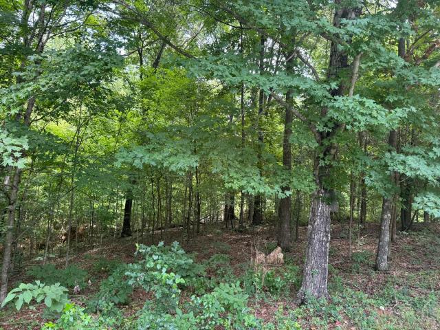 Lot 7 Woodsong Lane
