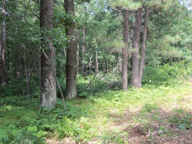 Lot 7 Birch Tree Trl