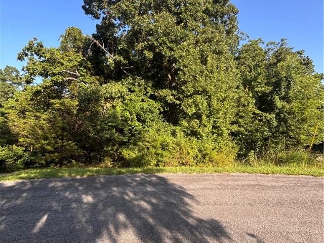 Lot 7 Block 7 Ledbetter Lane