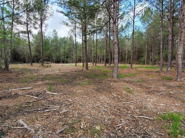 Lot 7 Blue Jay Drive