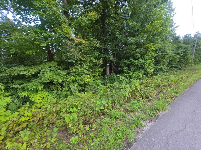 Lot #7 Buck Creek Circle