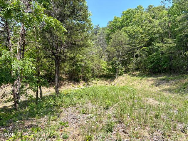 Lot 7 Burchfiel Way