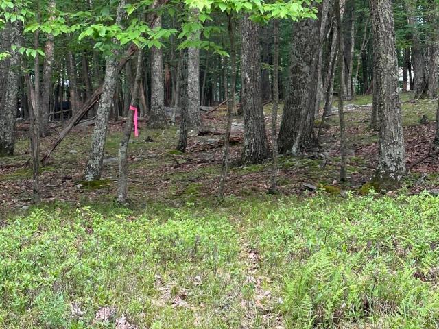 Lot 7 Cardinal Dr, Bushkill, PA 18324 | MLS #PM 107554 | Compass