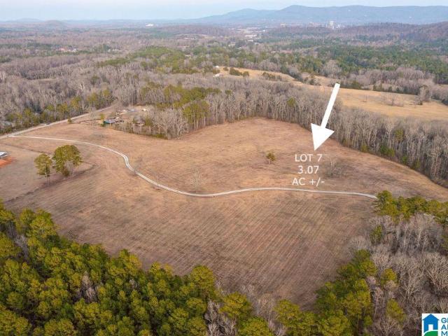 Lot 7 cedar springs drive # 7