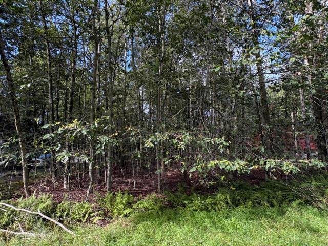 Lot 7 Chickasa Drive