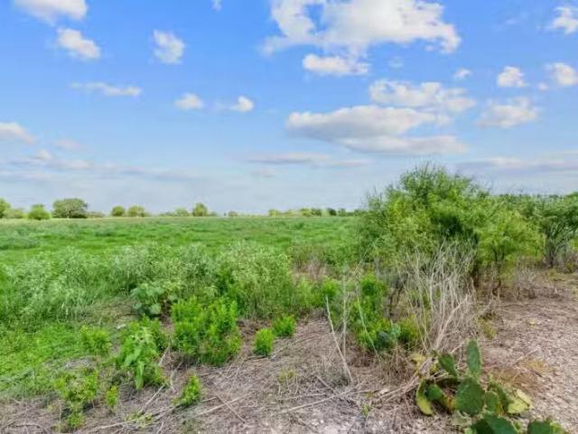 Lot 7 County Road 402, Flatonia, TX 78632 MLS 4068753